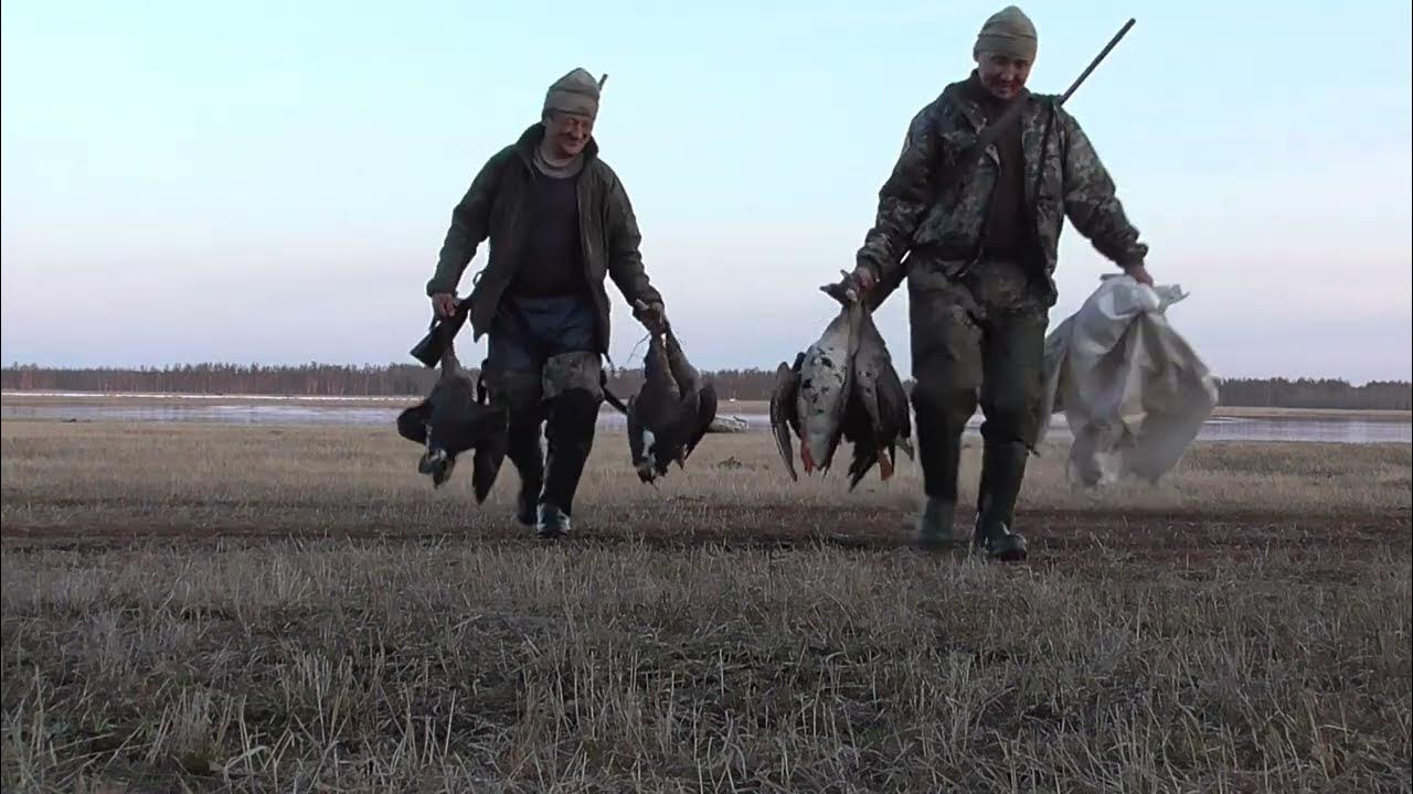 ОхОтА на гУсЕй 2023! GOOSE HUNTING! - YouTube