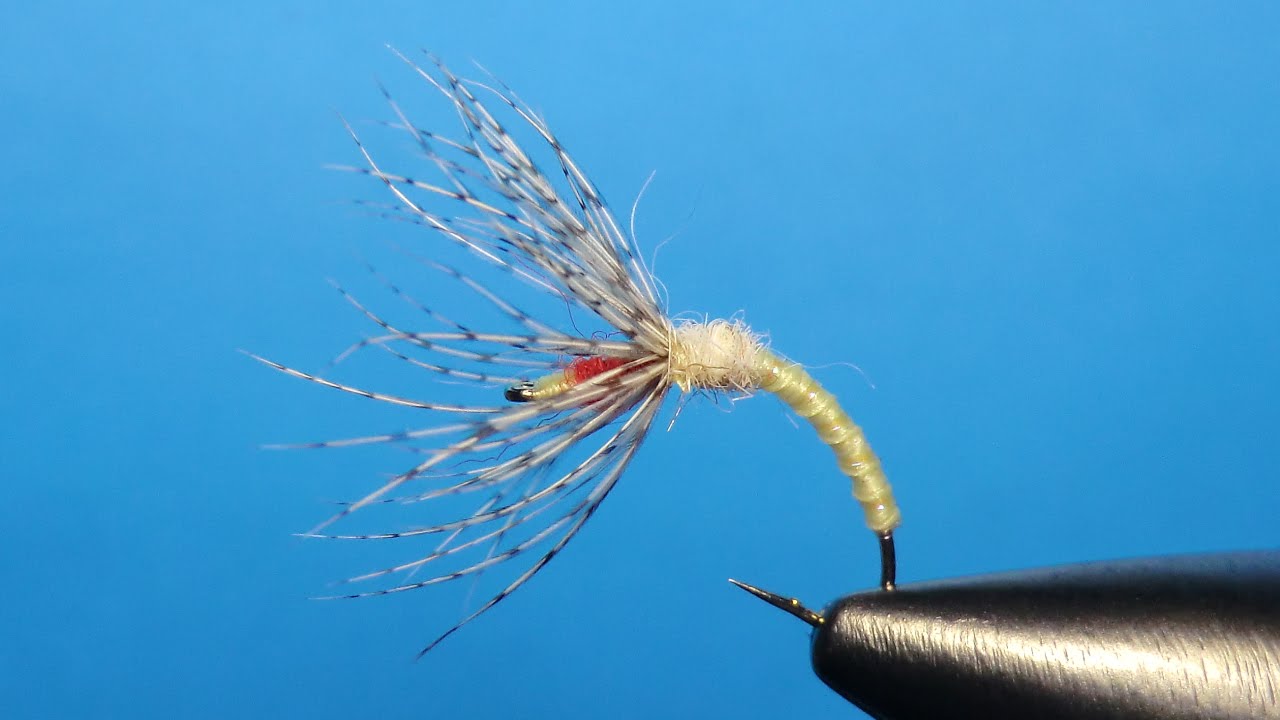PARTRIDGE TENKARA STYLE by Giancarlo - YouTube