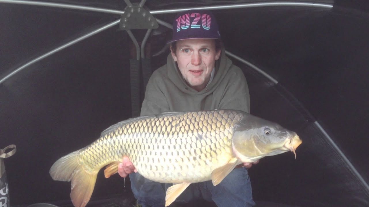 carp,dave,www.mysticcarp.blogspot.com - YouTube