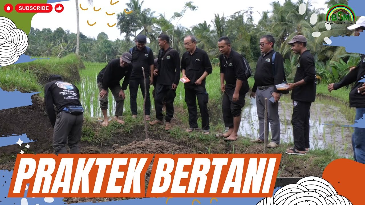 Bayu Diningrat # PRAKTEK LENGKAP PERTANIAN #bayusehatmandiri #bayudiningrat - YouTube