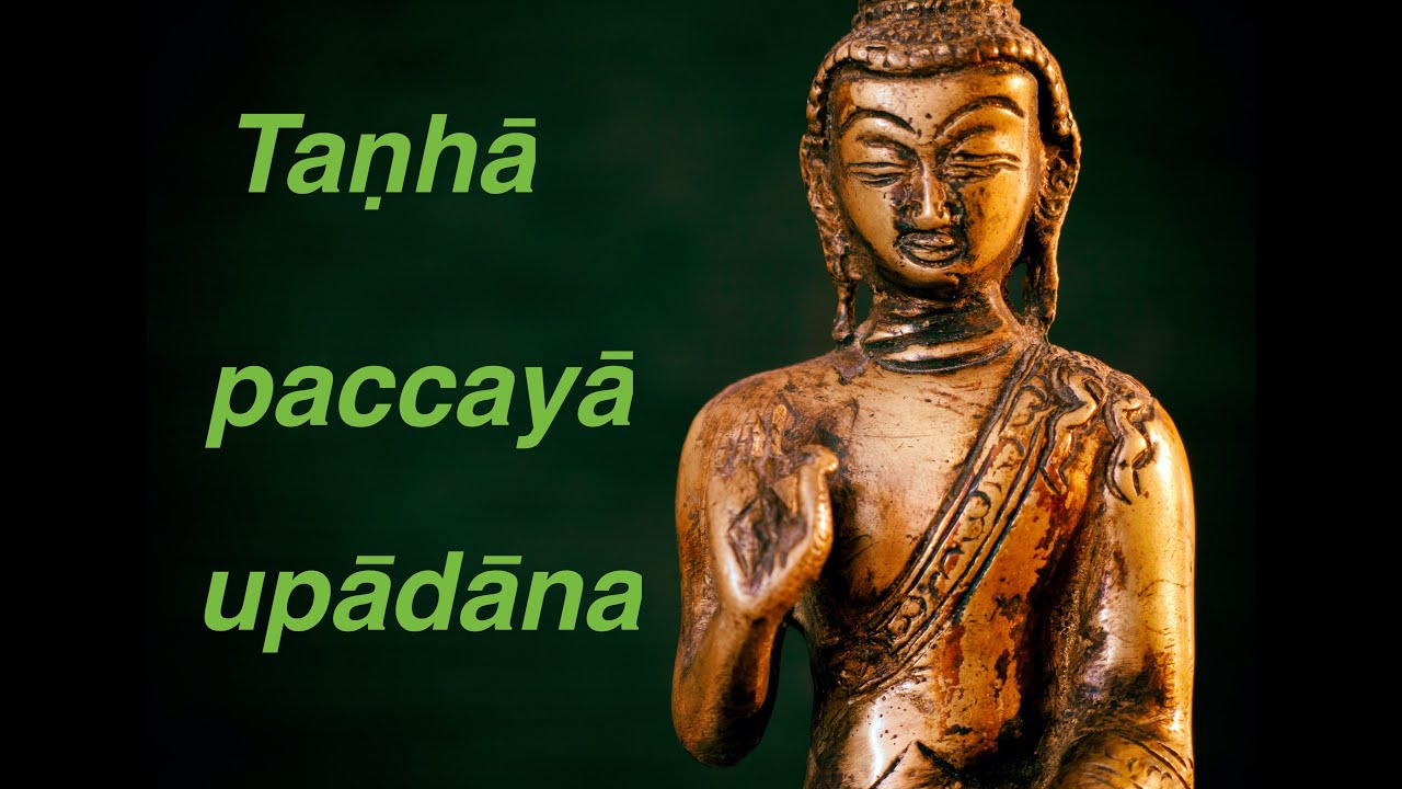 Taṇhā paccayā upādāna - Paticca Samuppada erklärt (Folge 9) - YouTube