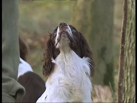 Country Life Channel - YouTube