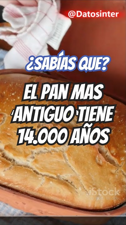 Sabías que el pan más antiguo tiene 14,000 años #shorts #short # ...