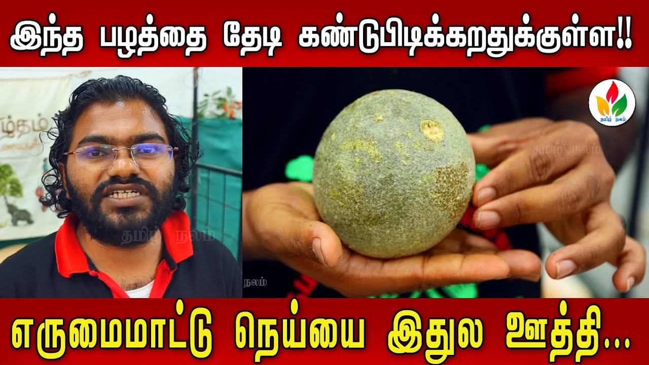 இந்த பழம் 1 கிலோ விலை எவ்வளவு தெரியுமா? | vilampalam jam | wood apple ...