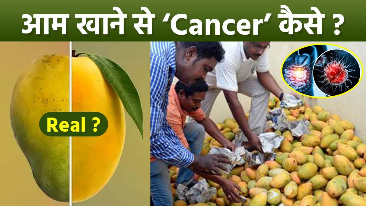 आम खाने से कैंसर हो सकता है क्या | How To Check Mango Quality | Mango ...