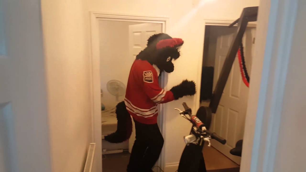 The Great Furry Laxative Prank - YouTube