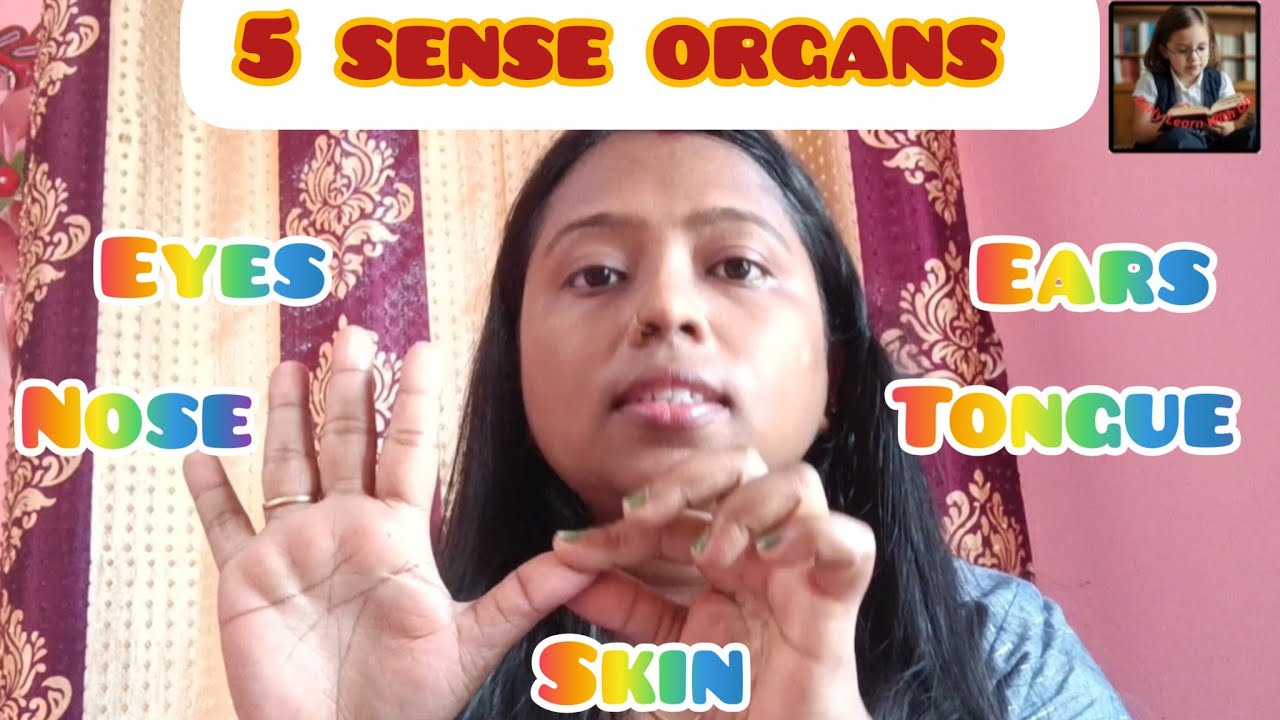 5 sense organs ll body part ll 5 body part ll Early learn with parts of ...