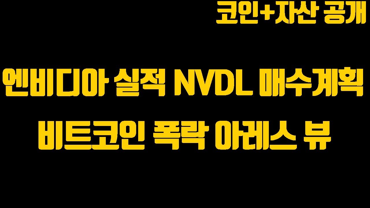 내일 모든게 결정됩니다 NVDL 매수계획 비트코인 폭락 아레스뷰 (아레스 코인+자산 공개) - YouTube