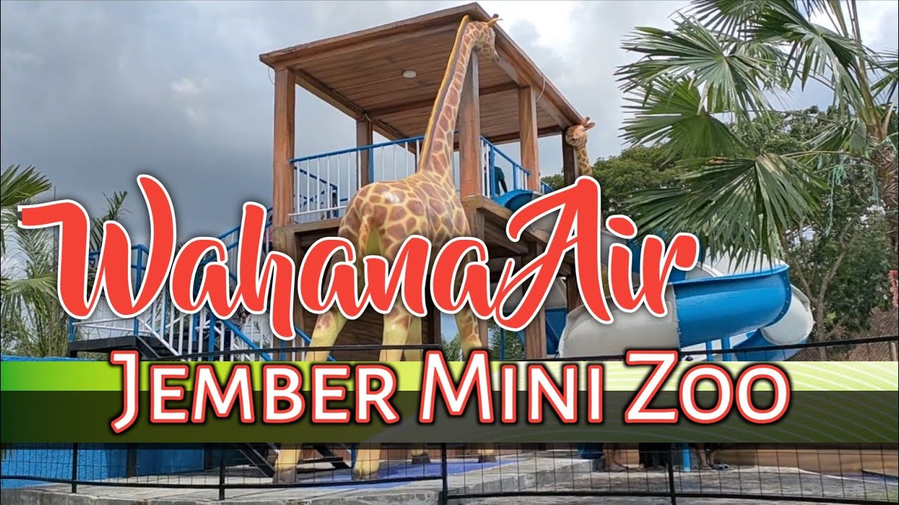 Mini Water Boom Jember Mini Zoo - Tempat Rekreasi Wahana Air di ...