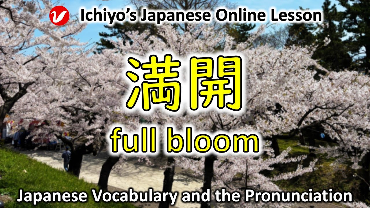 満開 (まんかい、mankai) | full bloom | Japanese Vocabulary and the ...