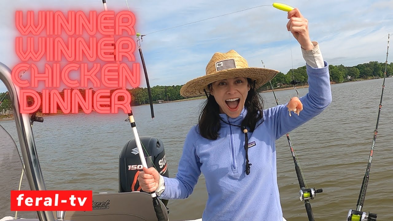 No bait? No problem! (Catfishing with Chicken) - YouTube
