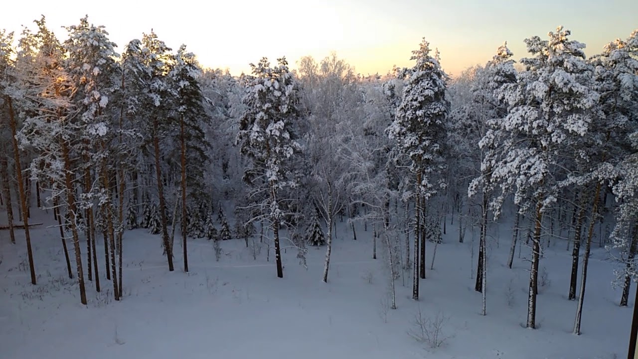 Siberian forest in the snow from above - YouTube