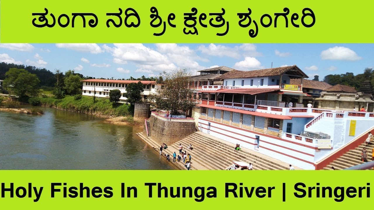 Sri Kshetra Shringeri | Sharadamba Temple | Holy Fishes In Thunga River ...