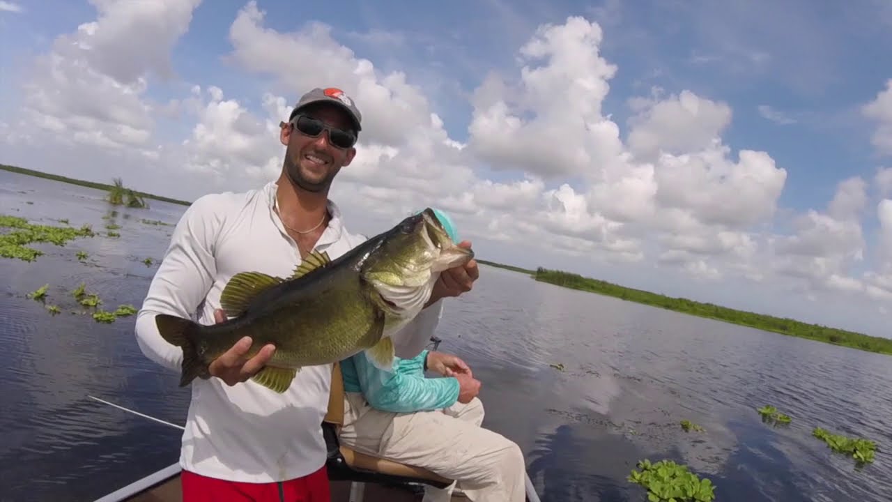 Too Many Bass To Remember!! Headwaters Lake. Fellsmere, Florida. - YouTube