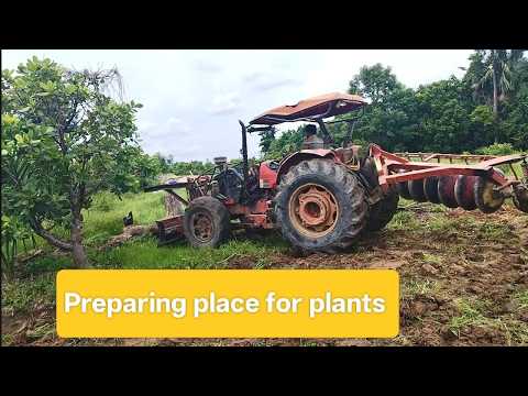 Preparing the place for plants #countrysideKH