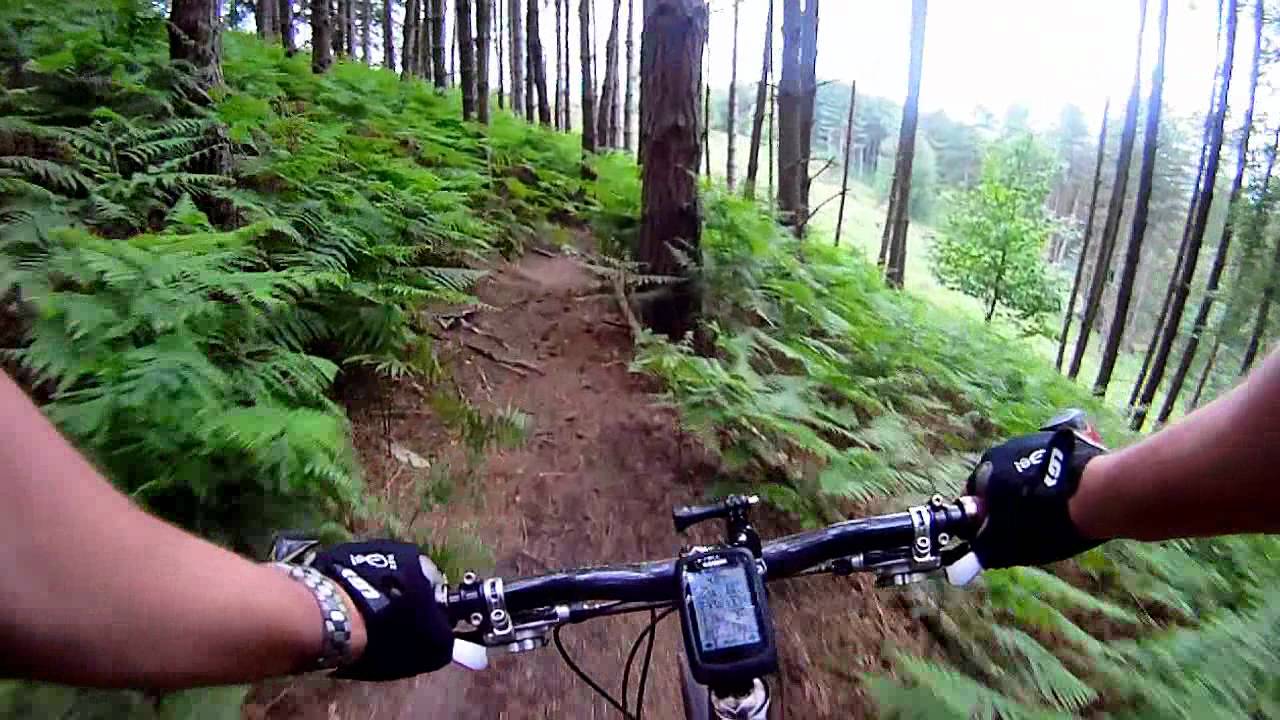 Foot and Mouth - Redlands Forest - Surrey - YouTube