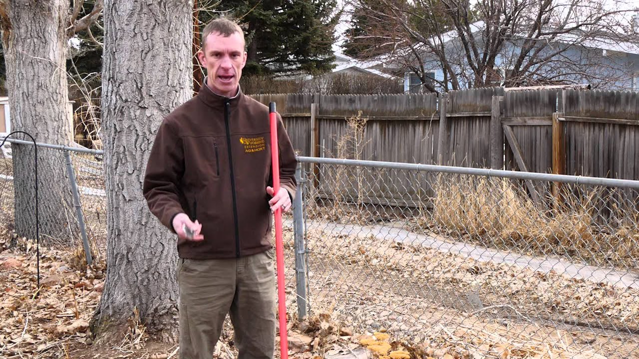 Spring Cleaning | From the Ground Up - YouTube