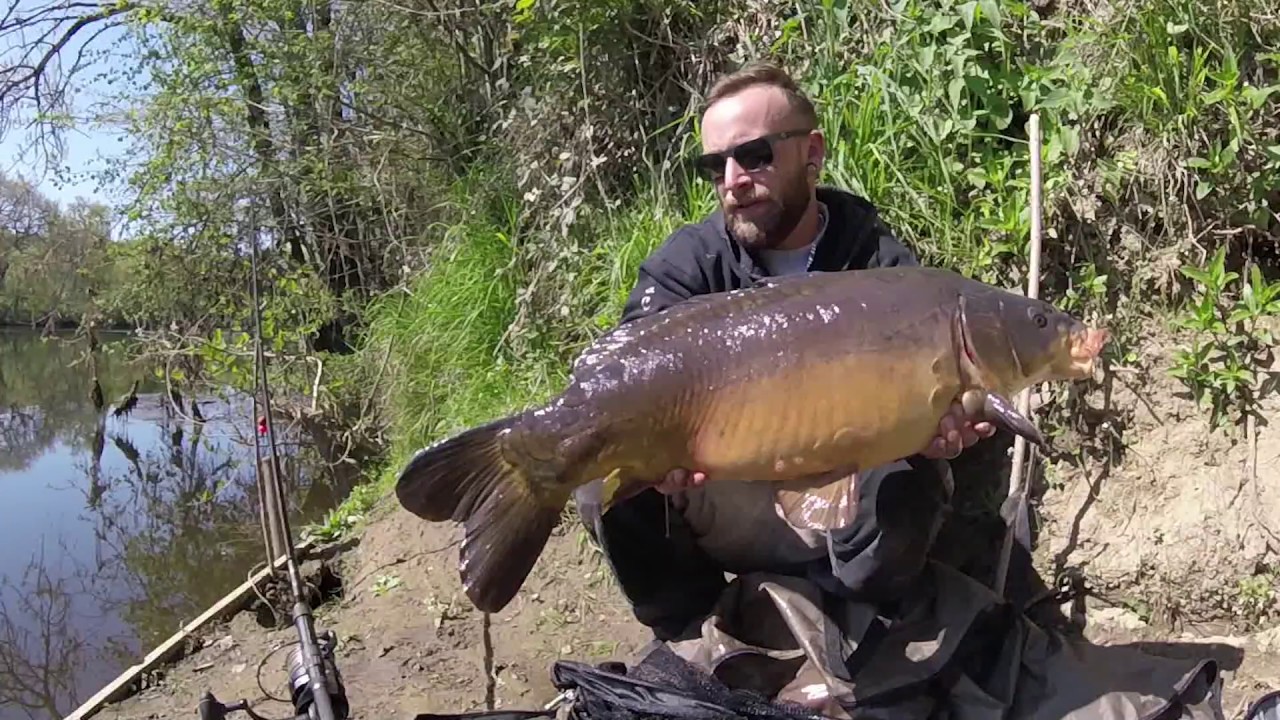 speed carp fishing river - YouTube