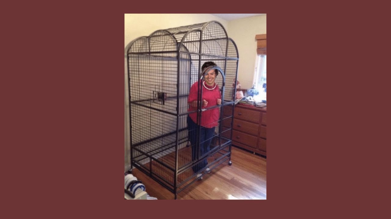 TIKTOKS THAT ARE A SILLY BAKA - YouTube