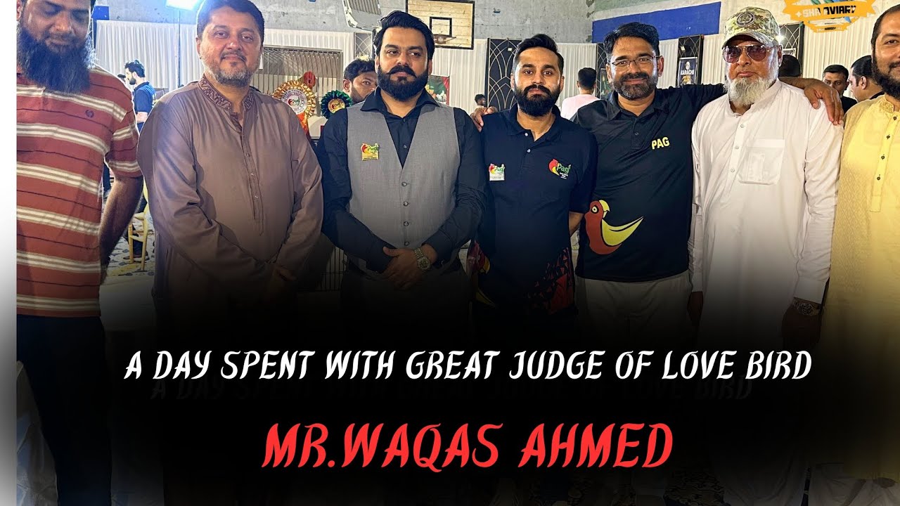 A day spent with great judge of love bird MR.WAQAS AHMED - YouTube