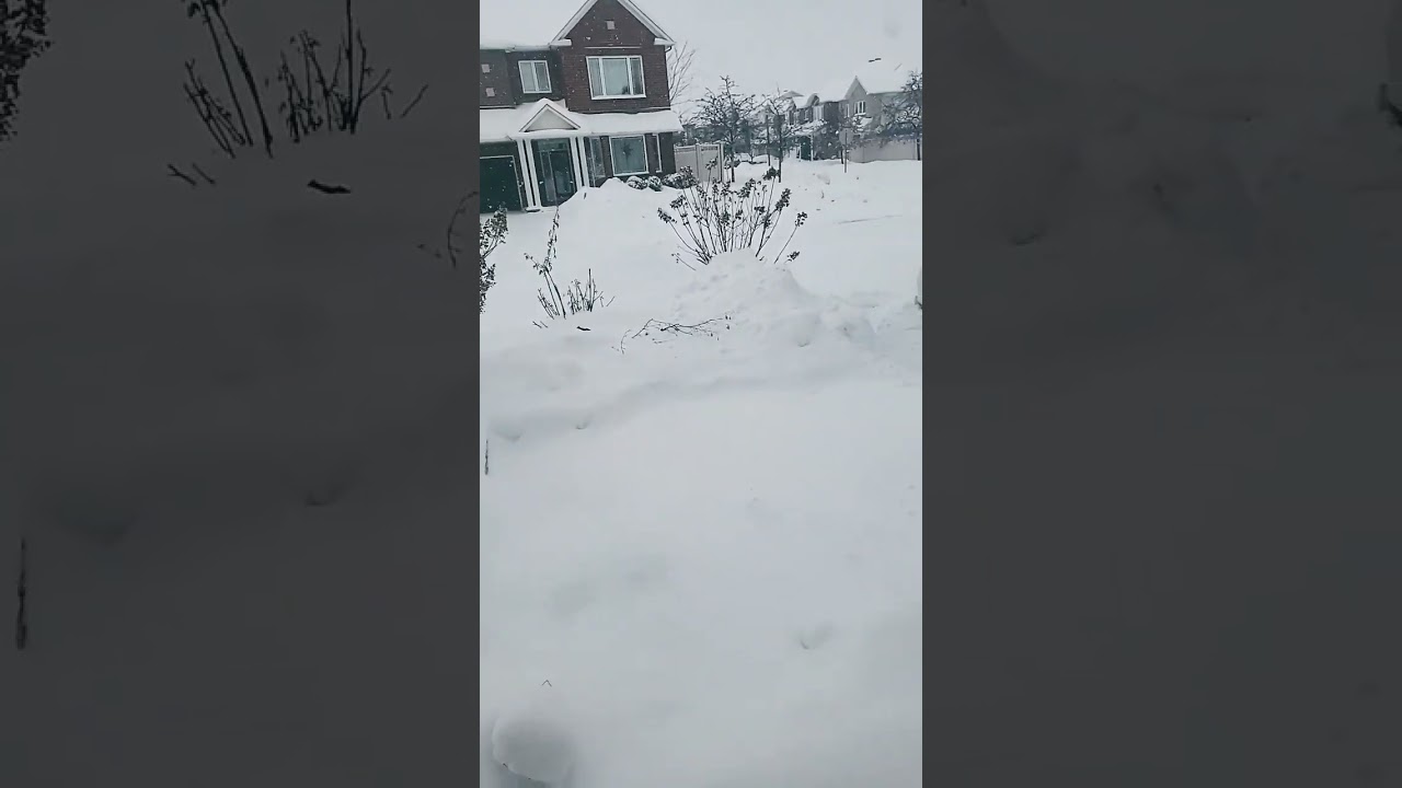 28 December 2022 - YouTube