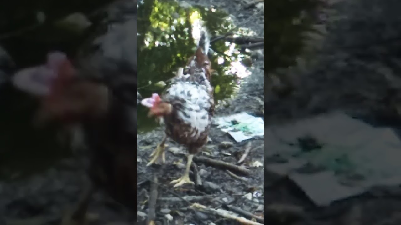 20 de agosto de 2022 - YouTube