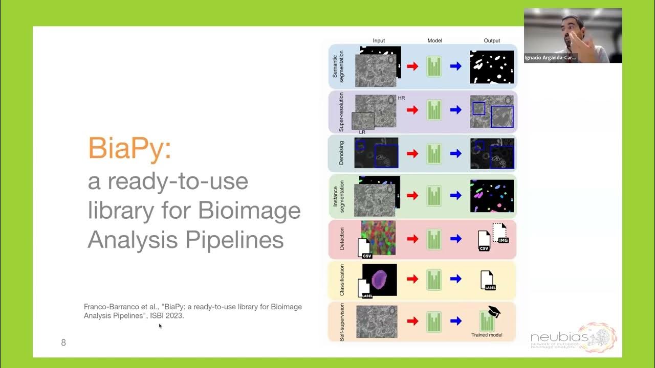 BiaPy: a ready-to-use library for bioimage analysis workflows - YouTube