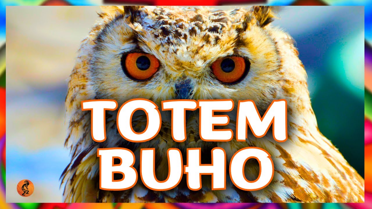 🦉 Los SECRETOS del BUHO como Totem y Animal de Poder Chamánico ...