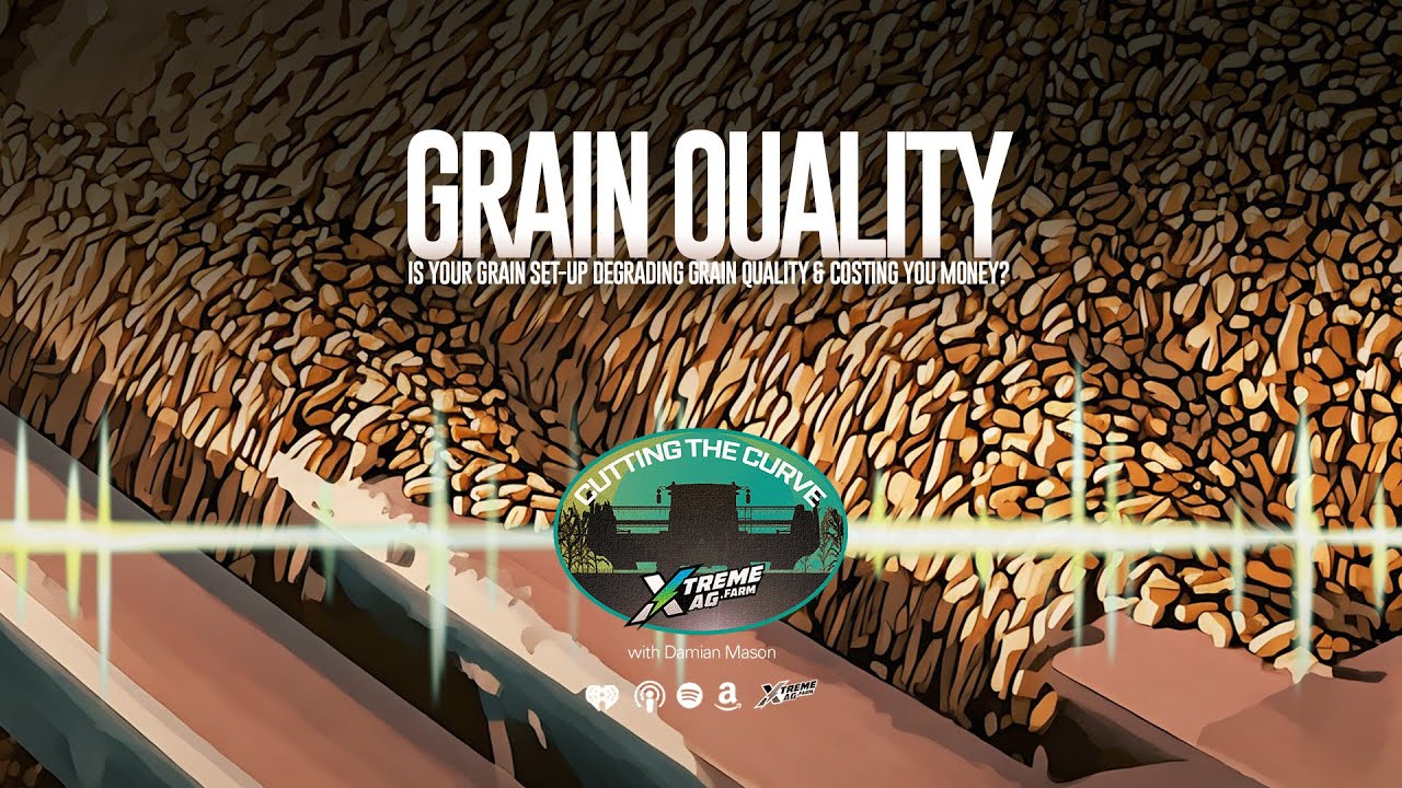 Is Your Grain Set-Up Degrading Grain Quality & Costing You Money? - YouTube