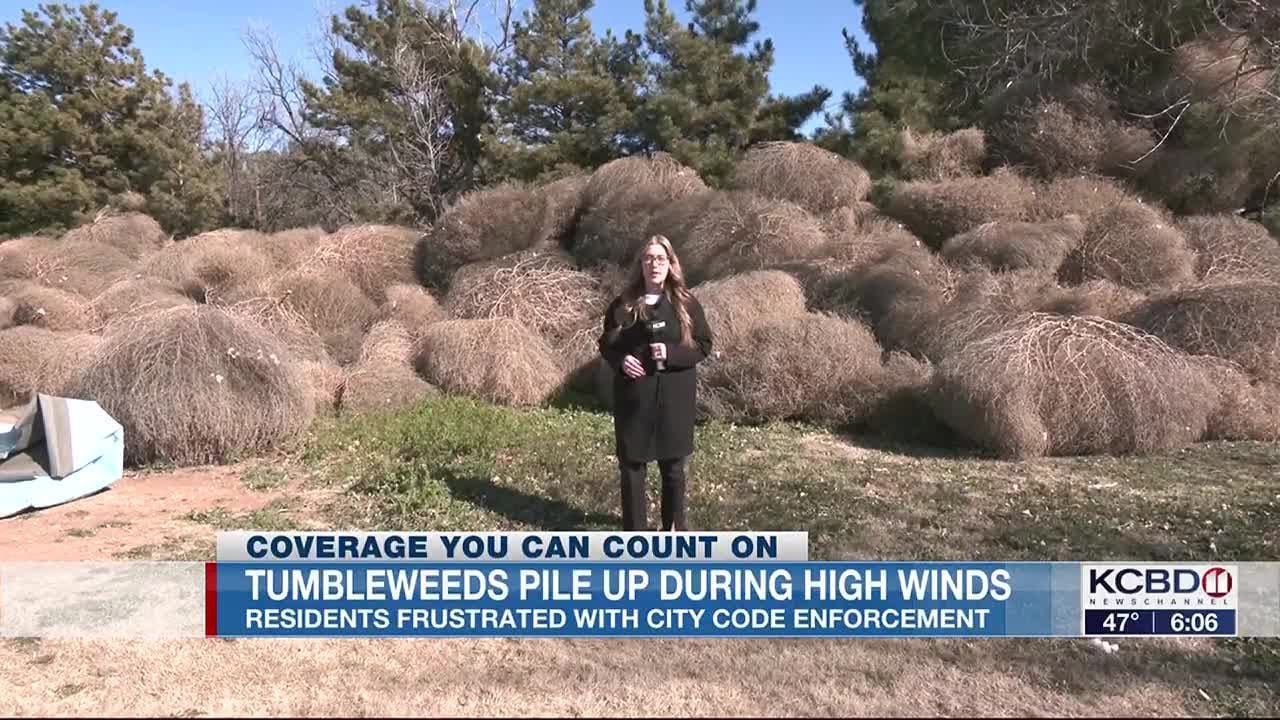South Lubbock residents blame City Code Department for tumbleweed take ...