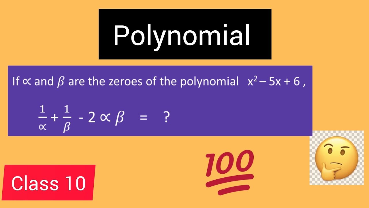 Polynomial Important Questions Class 10 || Ncert 💯 - YouTube