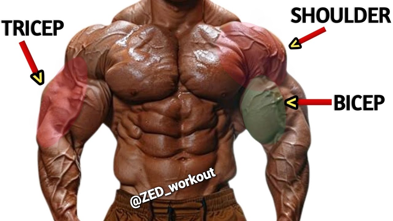 Best Arm Forearm, Bicep, Tricep and Shoulder Exercises To Build Arm ...