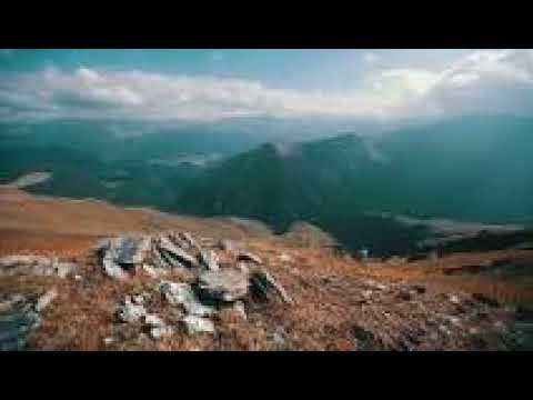 ქართული სიმღერები 2019