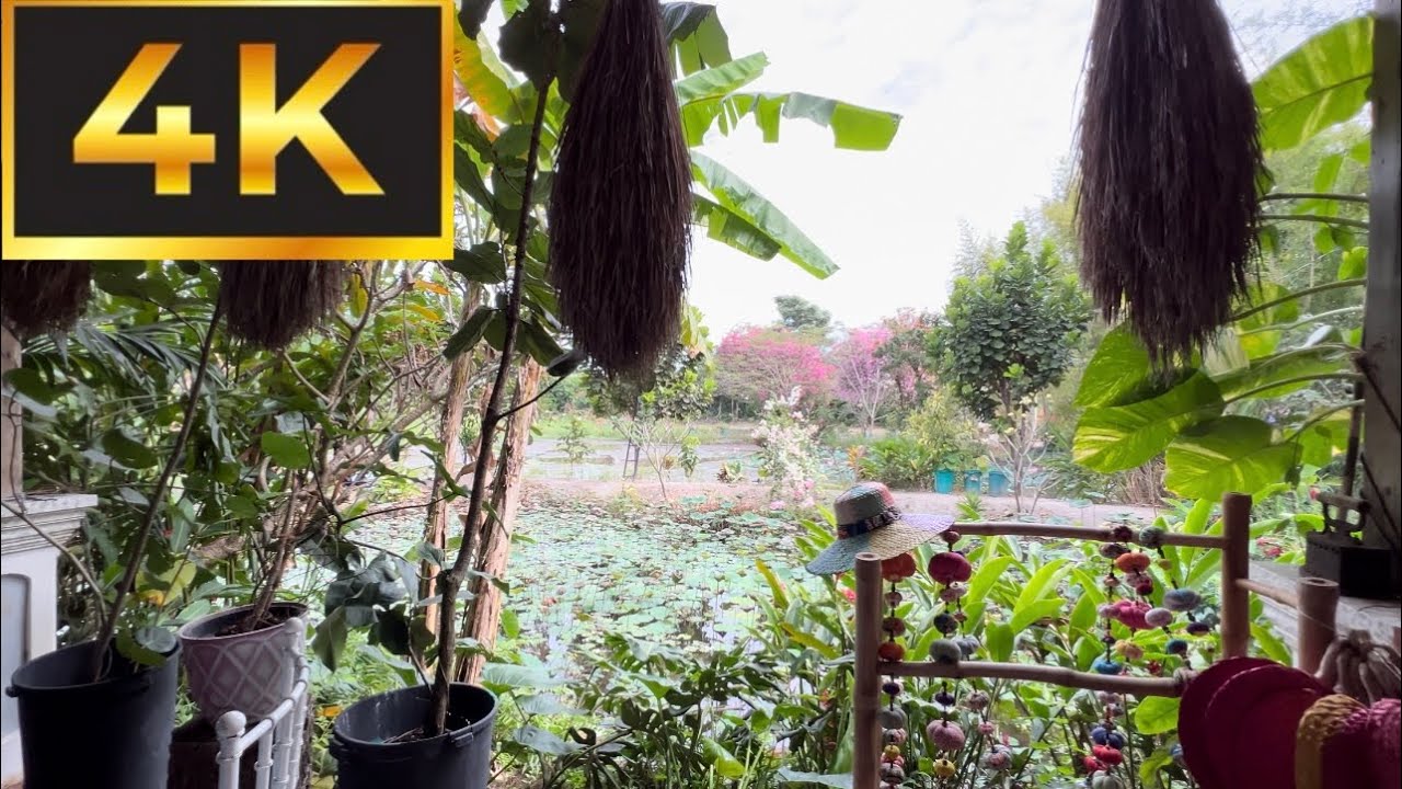 EXPLORING ALVIZ FARM, PHILIPPINES 🇵🇭 {VIDEO IN 4K} - YouTube