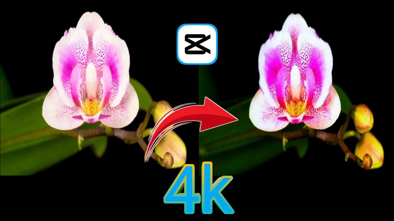 Capcut 4k editing tutorial. How to edit 4k quality on capcut. #capcut ...