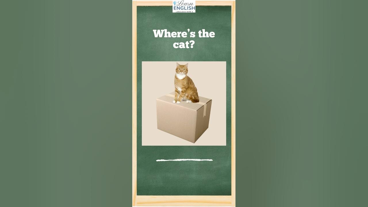 Where’s the cat? Learn Prepositions of Place. - YouTube