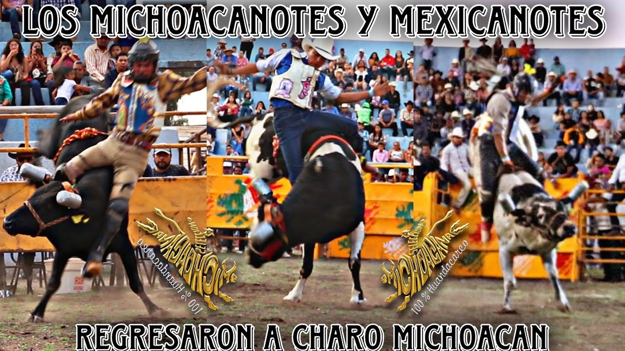 LOS TOROS MÁS MEXICANOTES Y MICHOACANOTES REGRESARON A PLAZA DE TOROS ...
