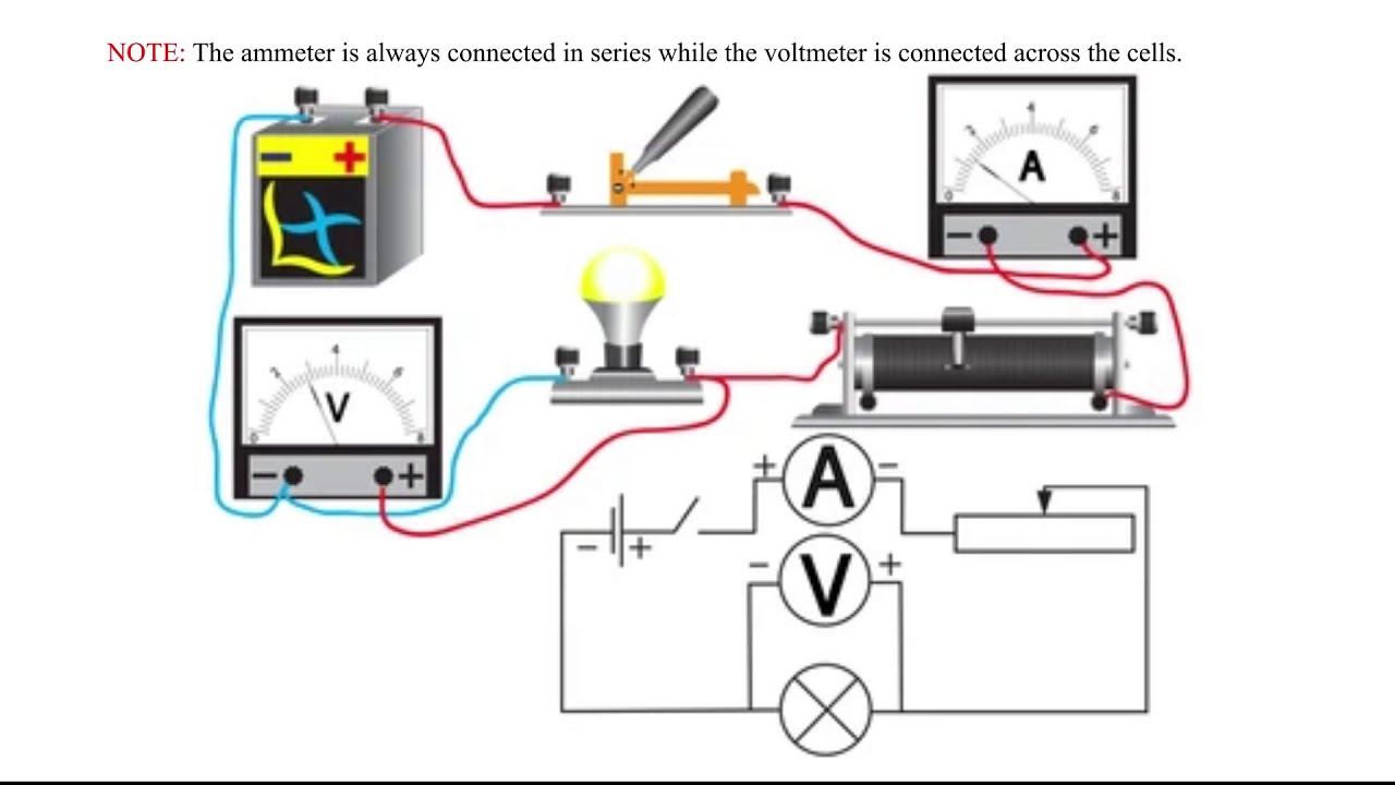 Cells in parallel - YouTube