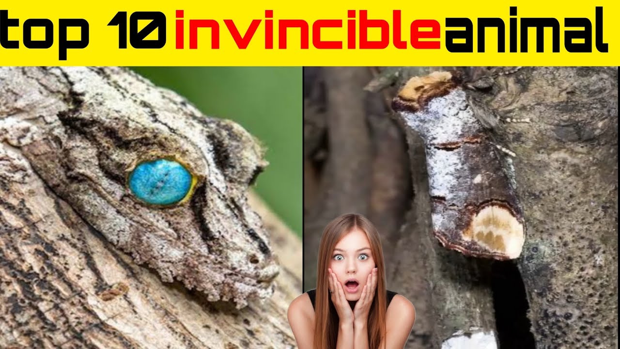 top 10 invincible animal's || 10 ऐसे जानवर जिन्हे देखकर अब चोक जाएंगे ...