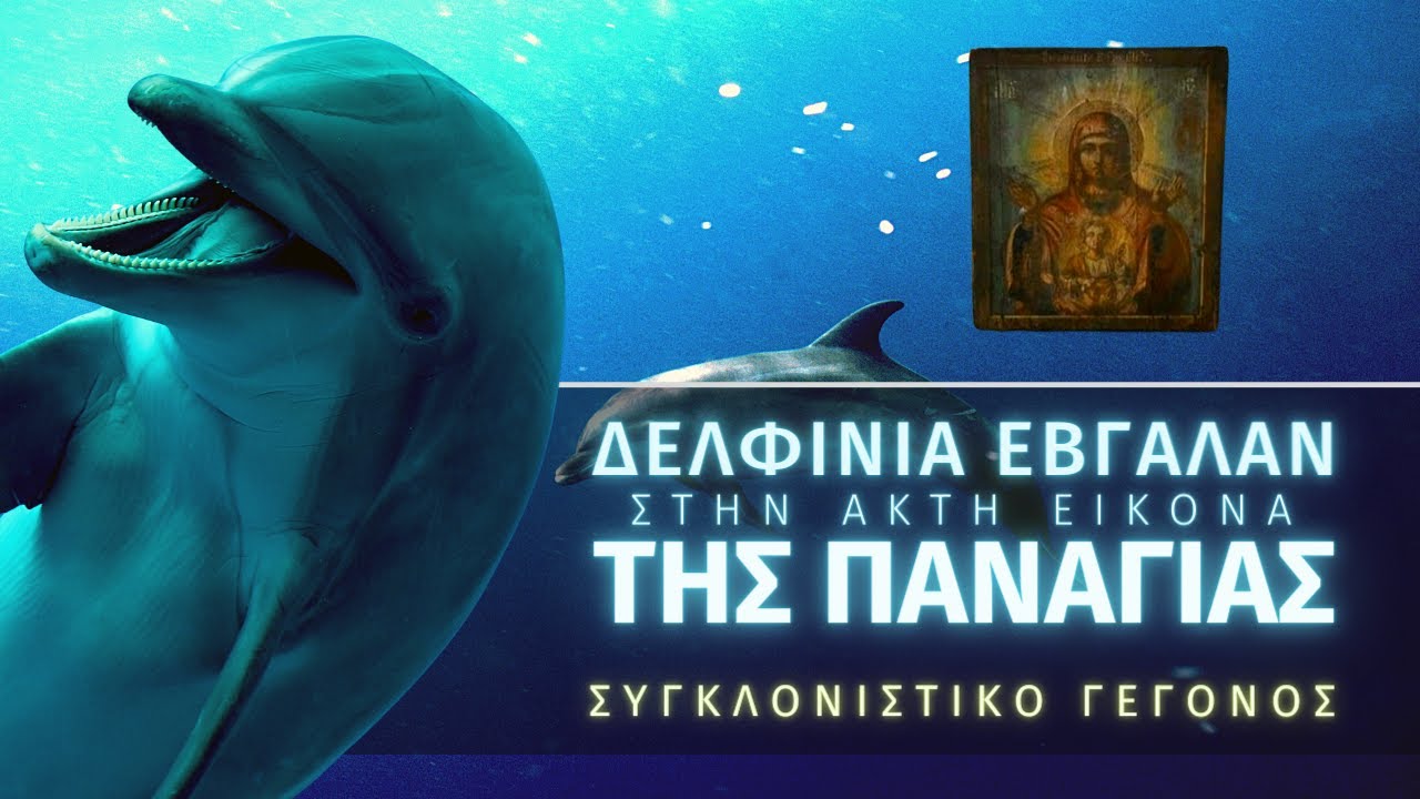 Δελφίνια 🐬 έβγαλαν στην ακτή εικόνα της Παναγίας... (ΣΥΓΚΛΟΝΙΣΤΙΚΟ ...