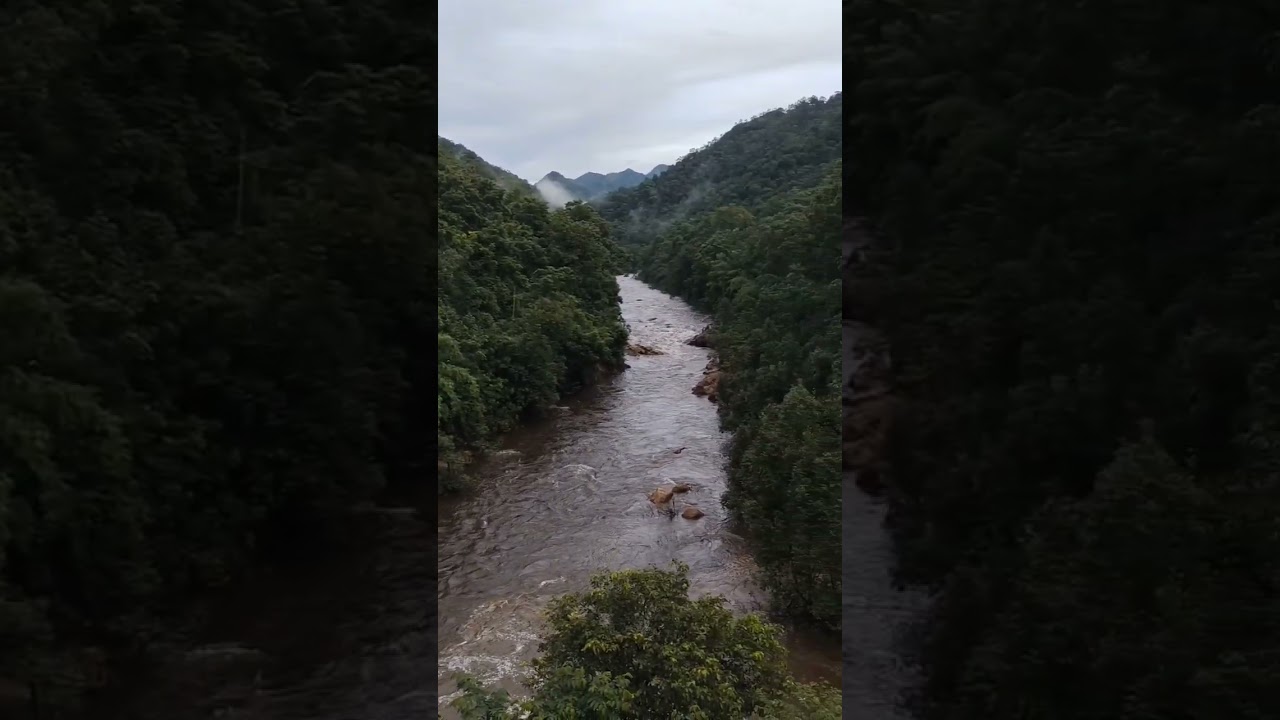 maredumilli location #maredumilli #trip - YouTube