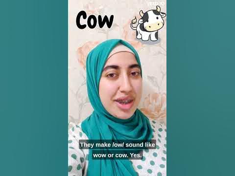WOW 😮 & cow 🐮 ou sound #english #learning #wow #practice #sound - YouTube