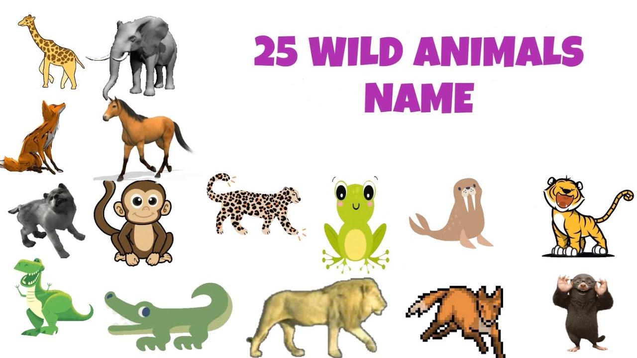 Wild Animals Name List With Picture