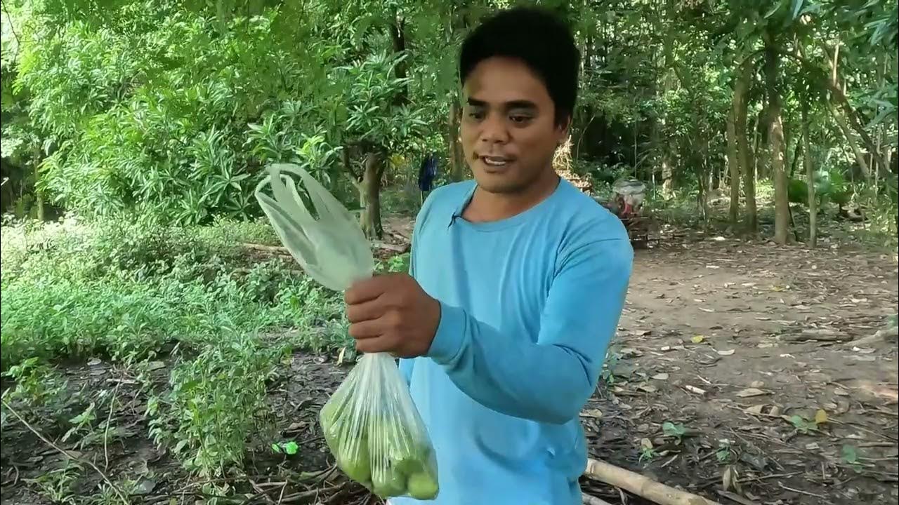 Maagang Pamasko - YouTube