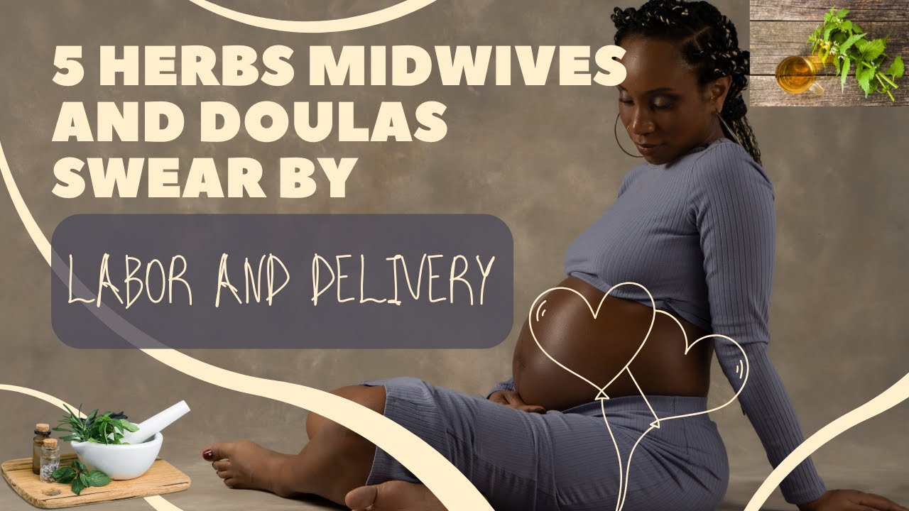 5 herbs used by midwives and doulas for labor and delivery! - YouTube