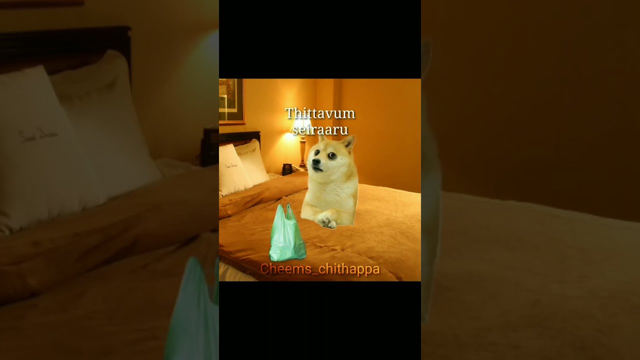 Cheems Tamil Funny Video YouTube Cheems Tamil Funny Video YouTube