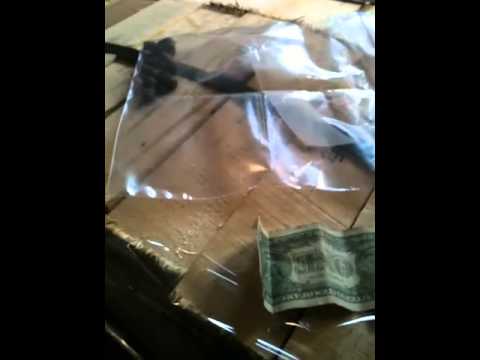 Saga of the poop dollar part 1 - YouTube