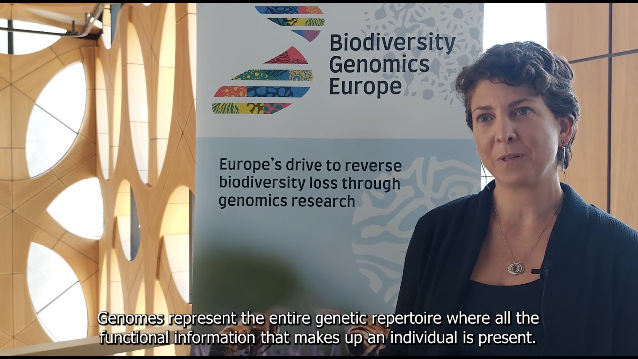 Biodiversity Genomics Europe (BGE): a Human Genome project for biodiversity - YouTube