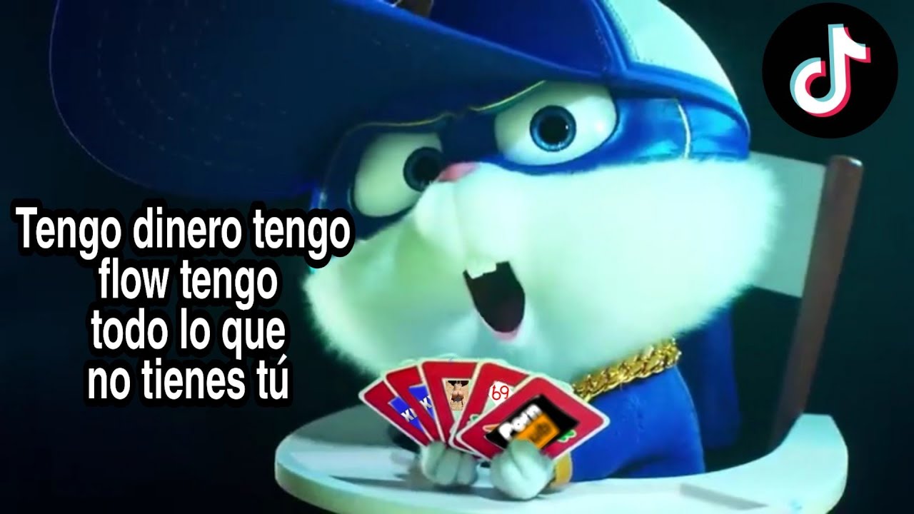 Tengo dinero tengo flow tengo todo lo que no tienes tu, versión tiktok ...