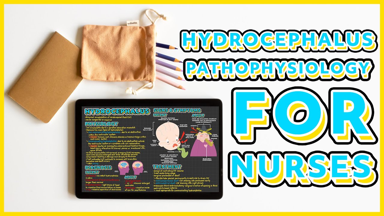 Hydrocephalus Pathophysiology | Everything You Need to Know - YouTube
